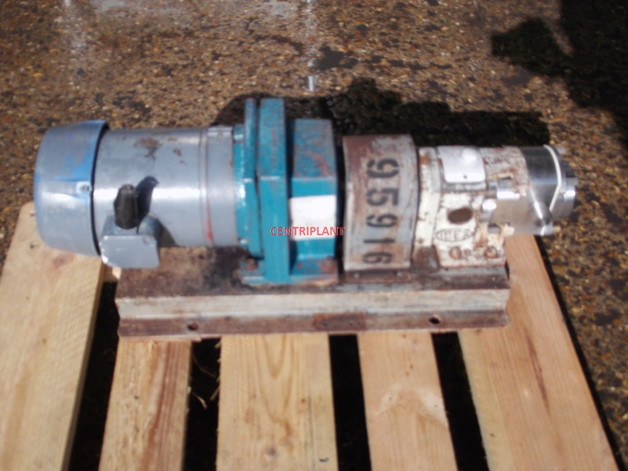 13794 - IBEX VARIABLE SPEED STAINLESS STEEL LOBE PUMP 2in RJT ...